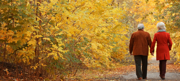 Autumn Activities - Eaton Senior Communities